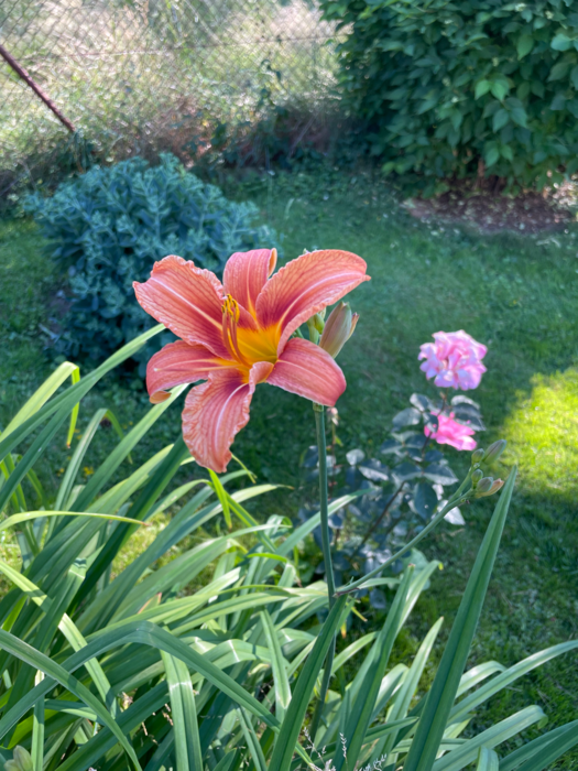 Výpadky a výluky :: Uklizejte-s-gracii